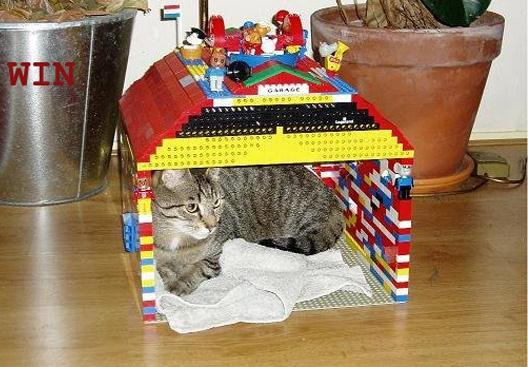Kaori Likes Things: Caturday: Cats sleeping on Lego piles
