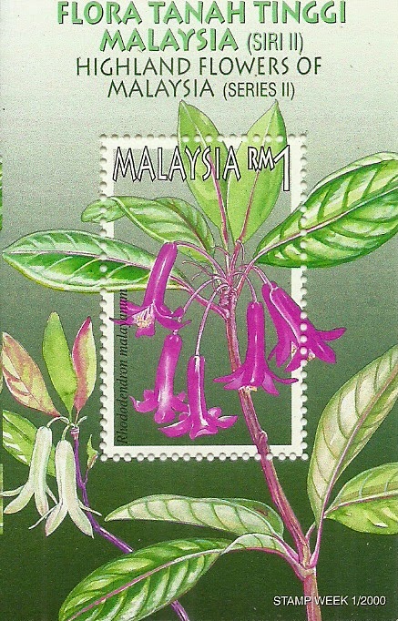 DUNIA SETEM : Setem Flora Tanah Tinggi 2000.