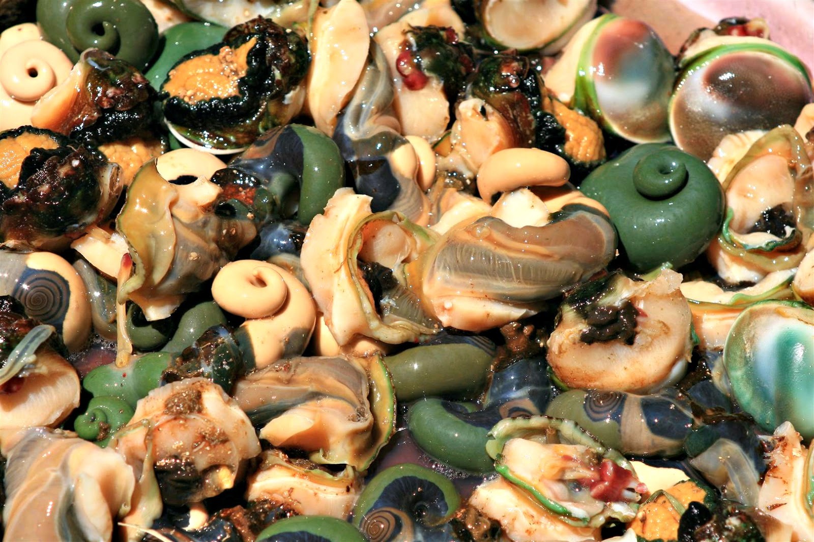 Deux Indiens dans l'Océan: Mahambo, aaaah, Mahambo!