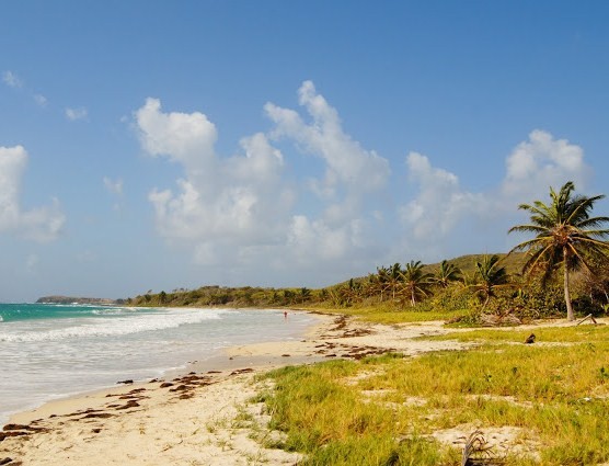 PETITS PARADIS: Anse Trabaud (Sainte-Anne, Martinique)