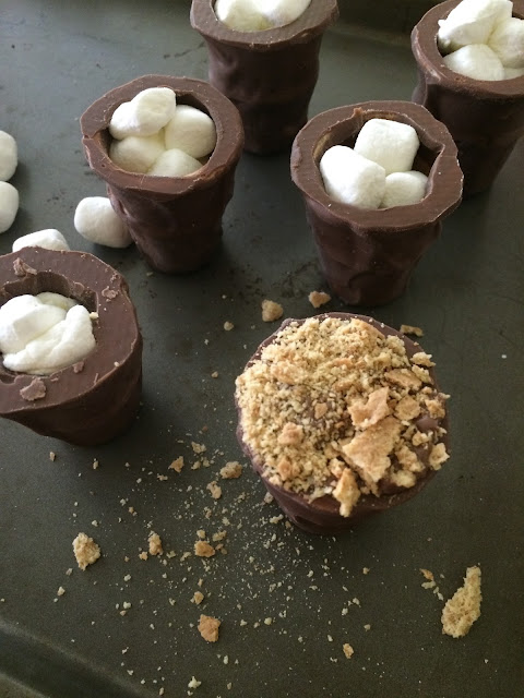 All Things Belle: Cactus - Cake Bites!