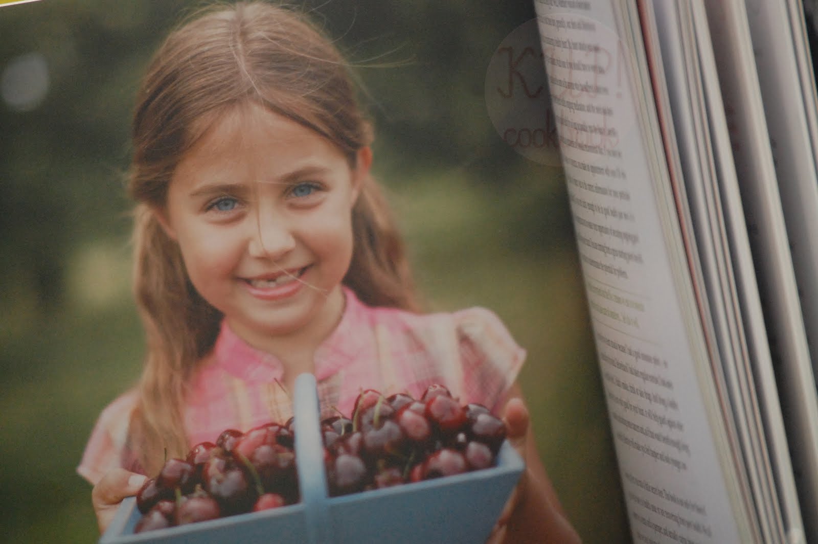 KUP! cookbook: Sally Bee - THE RECIPE FOR LIFE