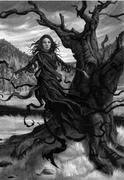 La Ruta del Quixote: FABLEHAVEN: LA PLAGA DE LA SOMBRA (RESEÑA)