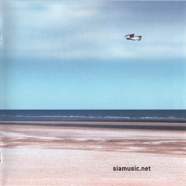 Encarte: Sia - Healing is Difficult - Encartes Pop