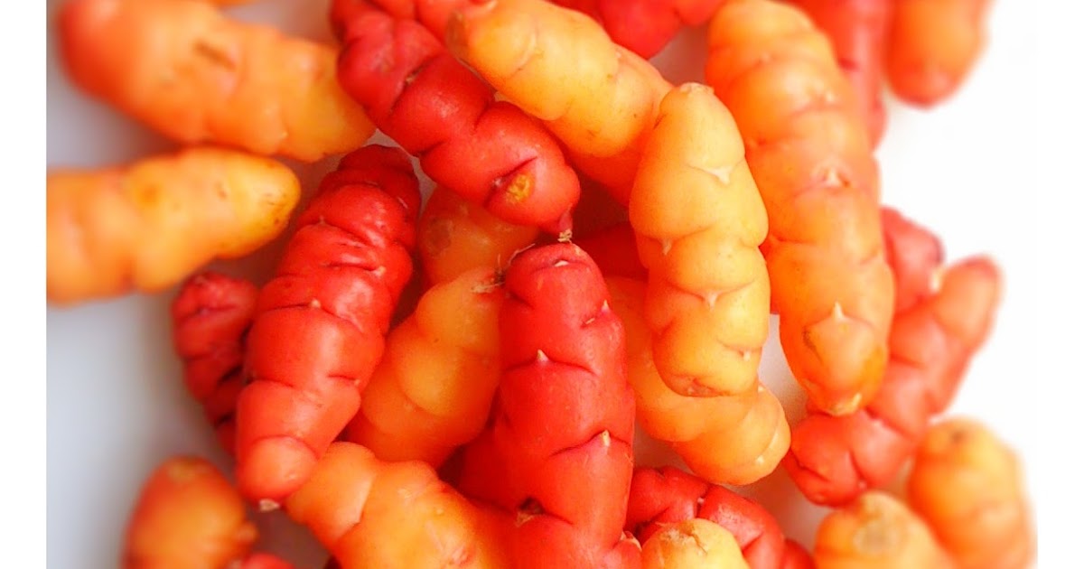 Alessandra Zecchini: Vegan Huhu Grubs