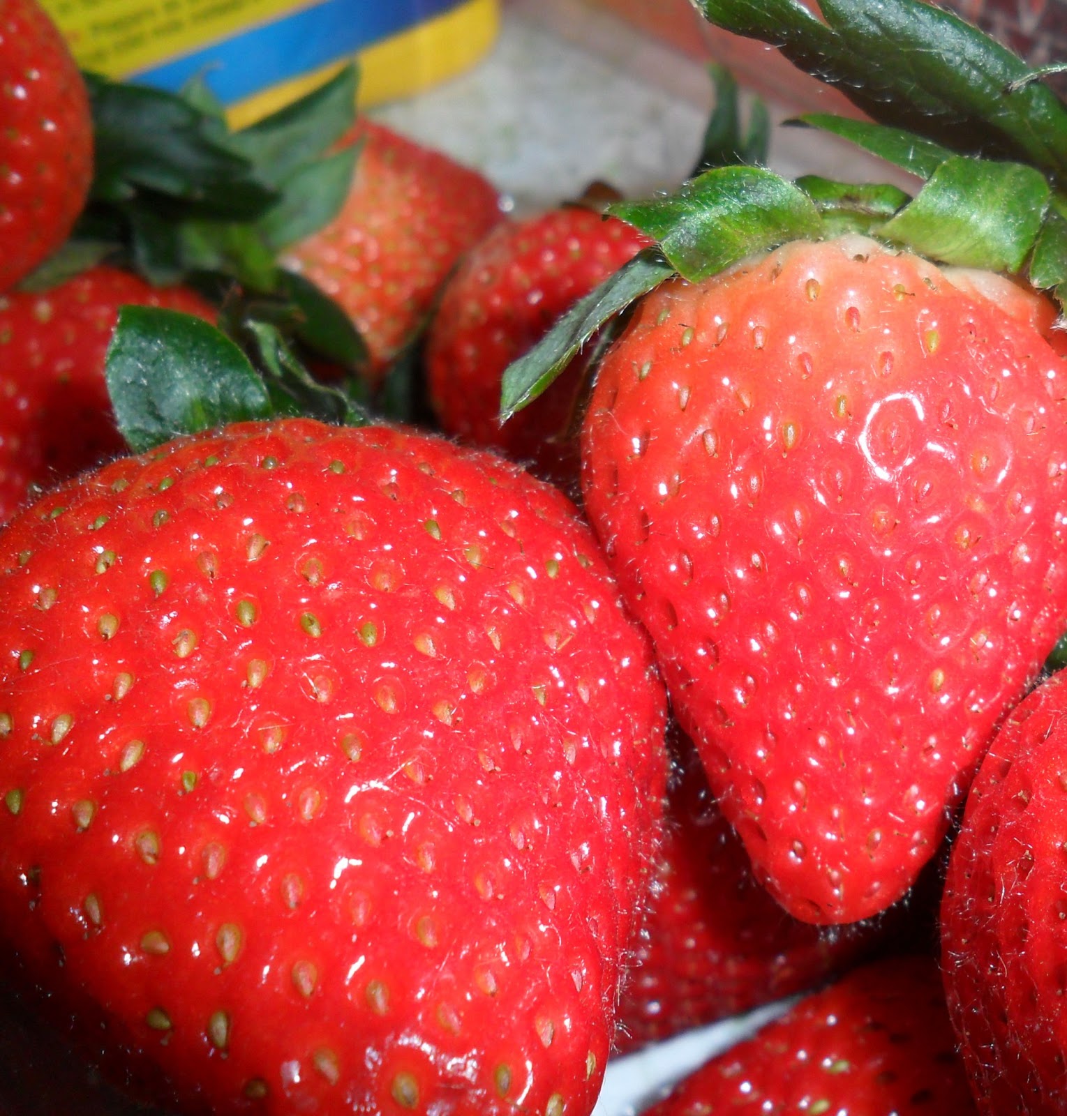 The Last Cordwainer: Strawberry- Oh, Lovely Strawberry!