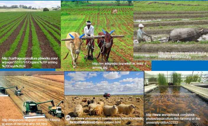 PRT2008 GROUP7: BAB 1 : APA ITU PERTANIAN MODEN