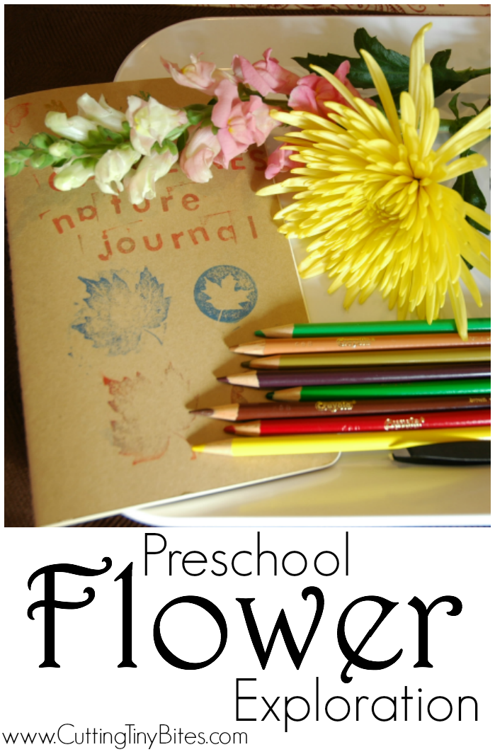 Flower Planting Activity Preschool