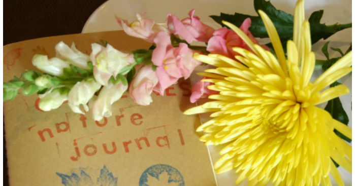 Flower Exploration Science Lesson | What Can We Do With Paper And Glue