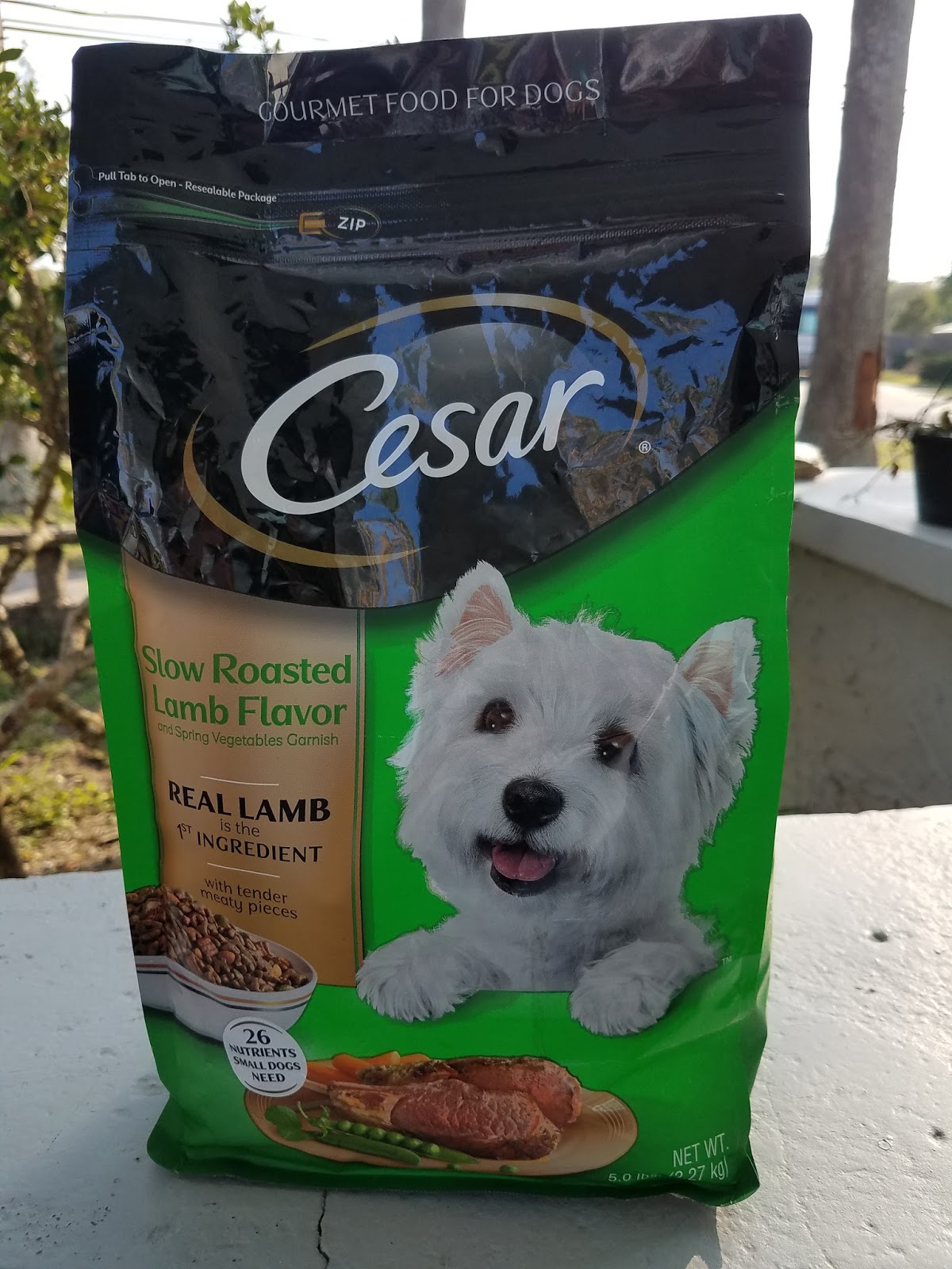The ABCD Diaries: CESAR® Now Offers Dry Dog Food!