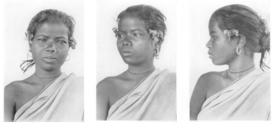 ΦΥΛΕΤΙΚΑ: Οι φυλετικοί τύποι της Ινδίας κατά Eickstedt