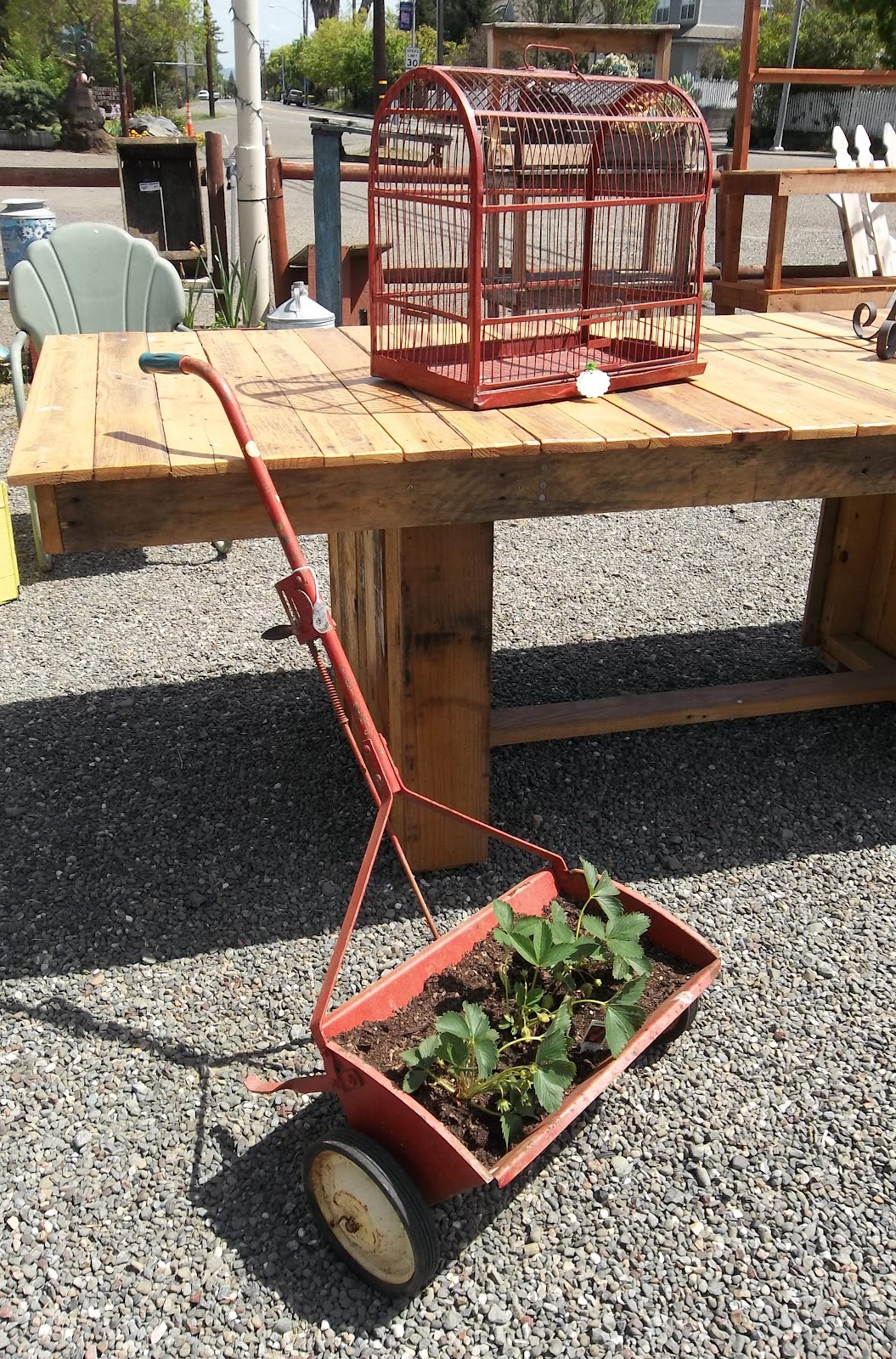 Gin'Gilli's Vintage Home: Unique Container Gardening Ideas!