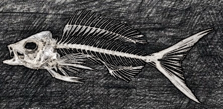 身体操作技法指導 安部塾公式ブログ 身体操作指導者 安部吉孝: 6月 2016