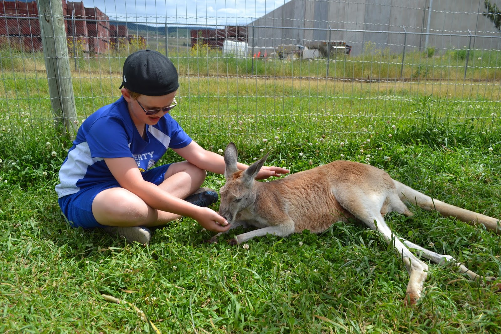 we-love-kamloops: Kangaroo Creek Farm ~ Lake Country ~ Winfield, BC