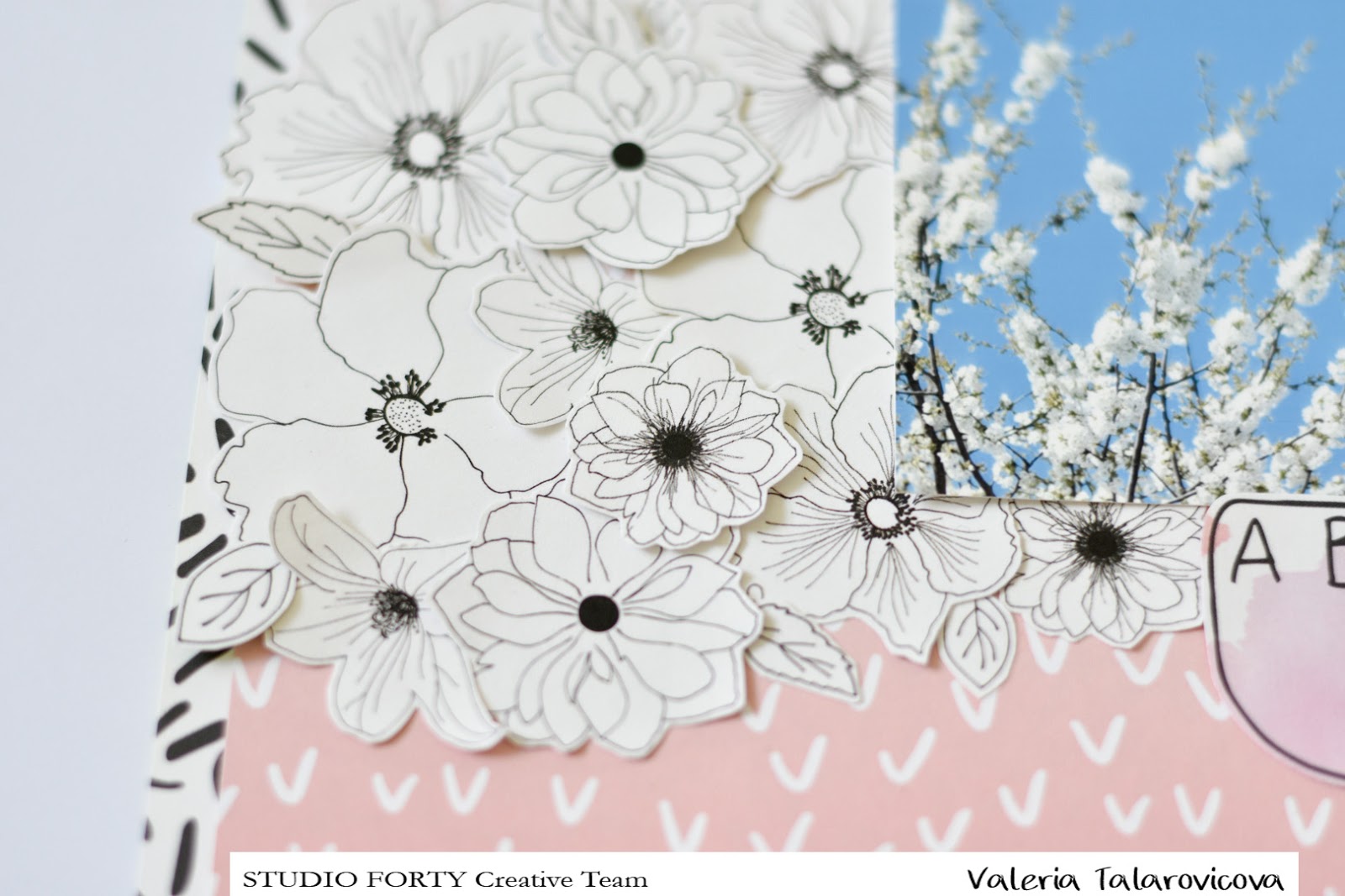 Spring layouts - StudioForty