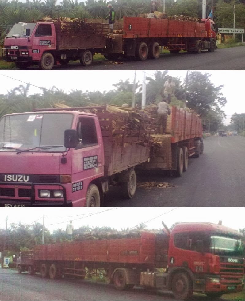 Pembekal Atap Rumbia Atap Nipah Atap Lalang Traditional Thatched Roof