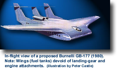 JustaCarGal: Burnelli or Northrop Flying Wing