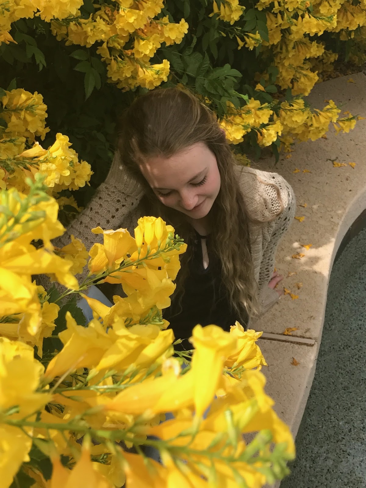 Beautiful Katelyn! | Freeman Family Front-Page