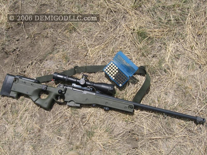 Armas de Fuego: AWF y AWSM