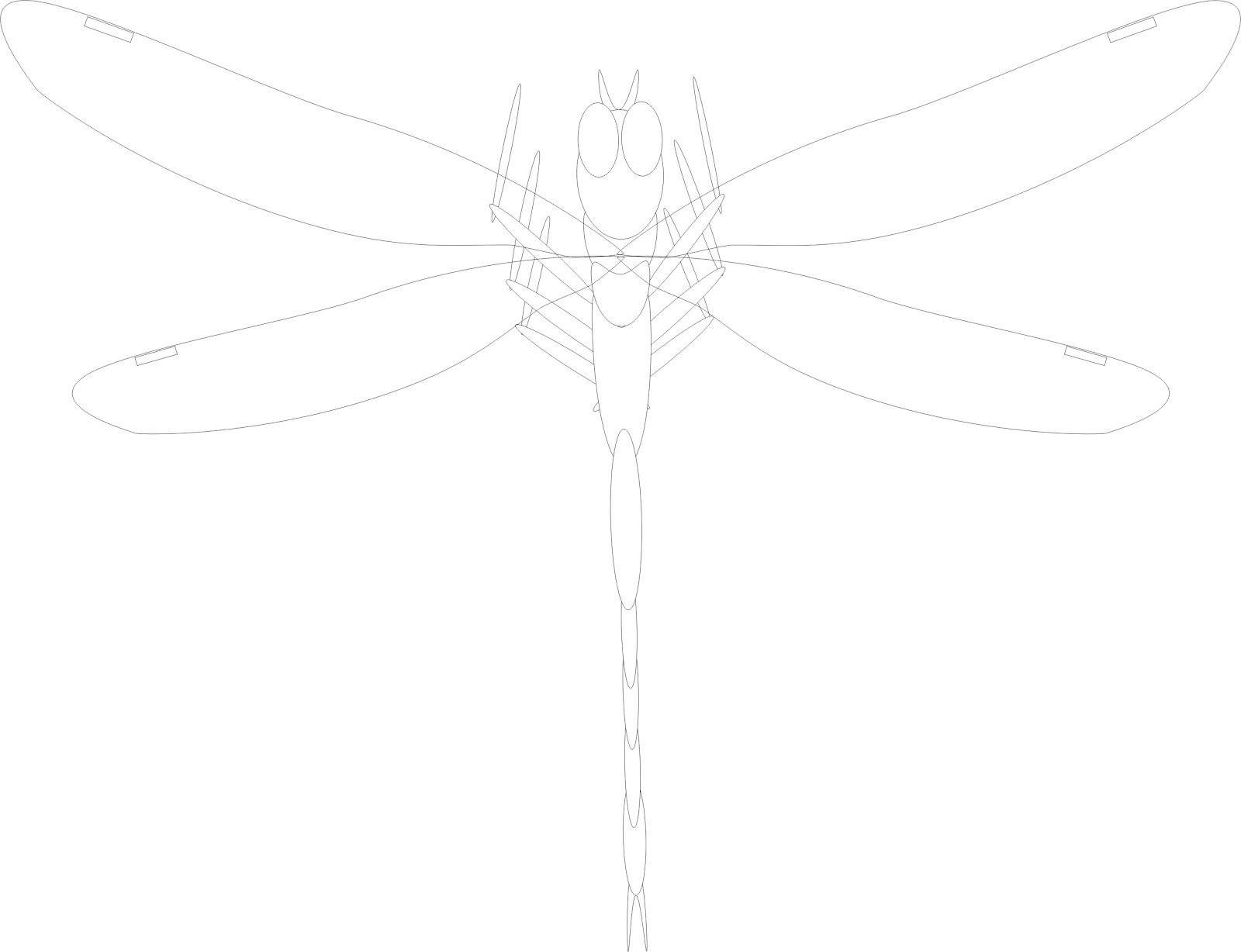 Membuat Capung Sederhana Menggunakan Corel Draw 12 ~ Frayogi Aditiya, A.Md