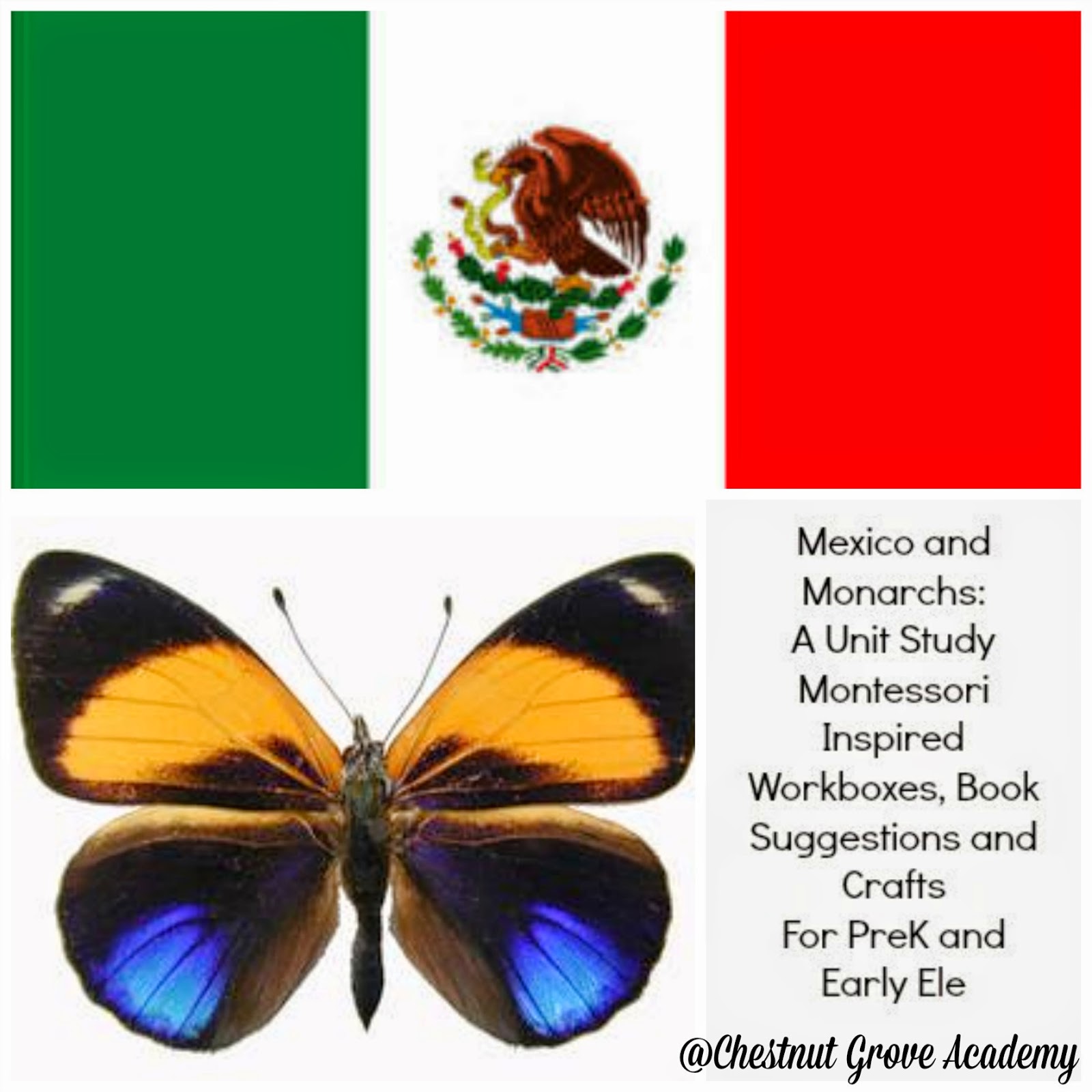 Chestnut Grove Academy: Mexico & Butterflies