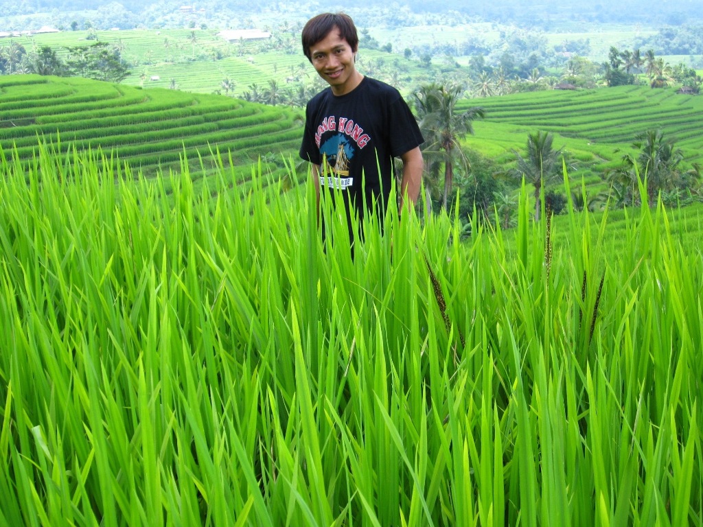 LET'S GO AROUND THE WORLD!!!: KEINDAHAN SAWAH TERASERING DI BALI