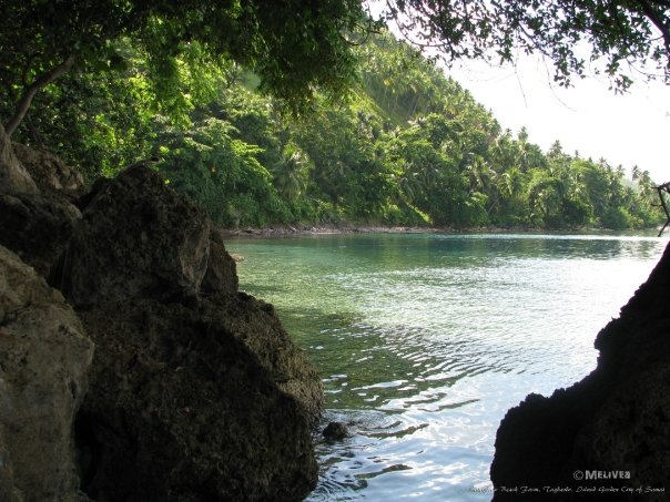 Katagbaoan Beach Farm - My Haven In Tagbaobo, Samal - Gana Explore!