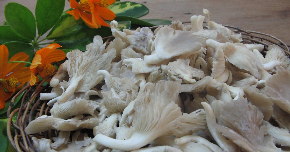 Home Cooking with Nona Lema: SINABAWANG KABUTE