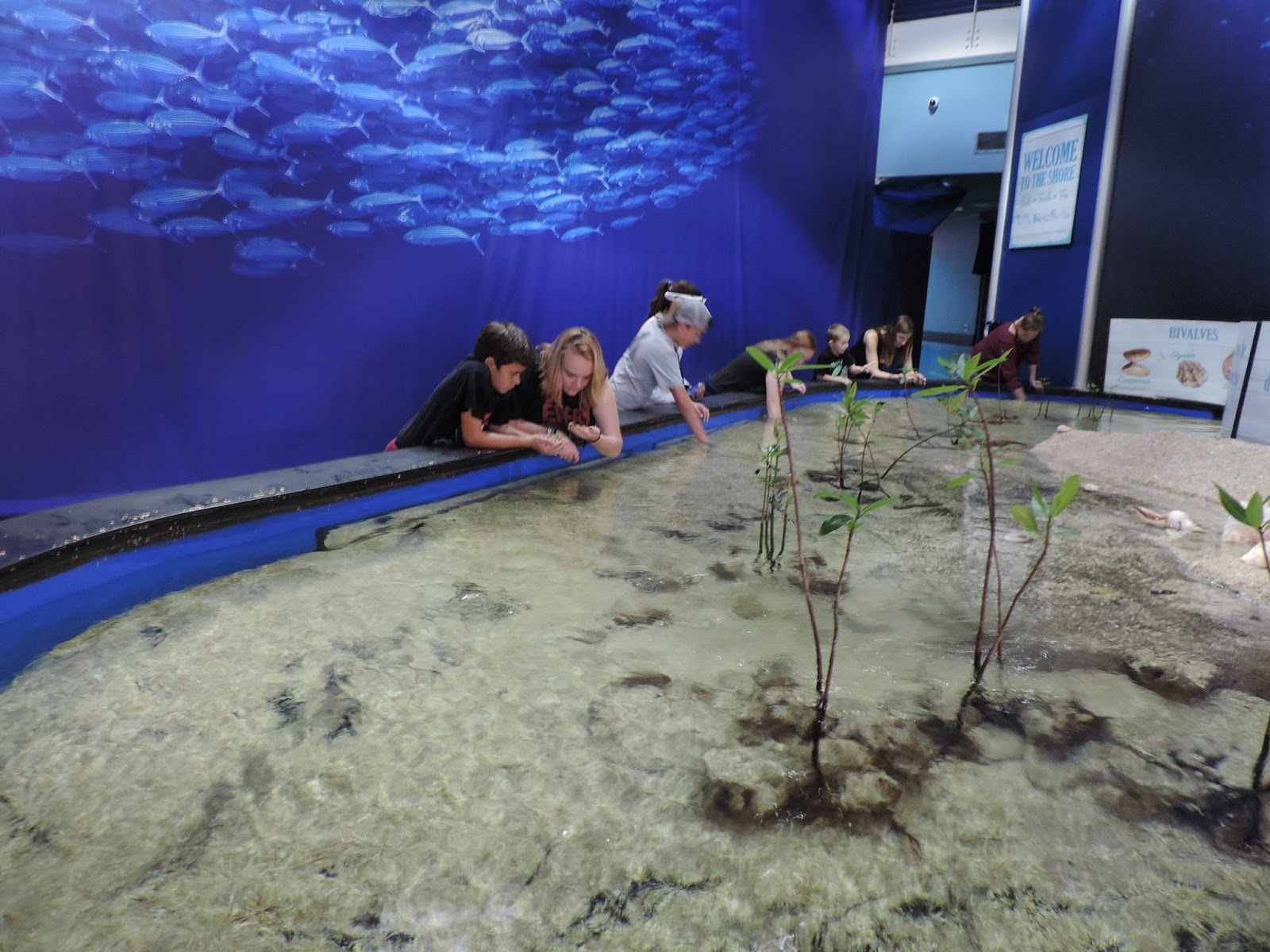Mail4Rosey: The Florida Aquarium Makes for an Awesome Day Trip!