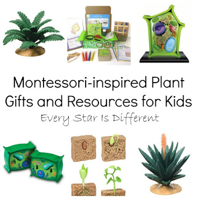 Montessori-inspired Botany Gifts and Resources for Kids - Every Star Is ...