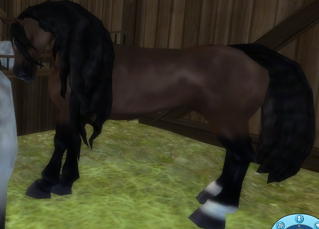 Star Stable Daily : Horse Breeds