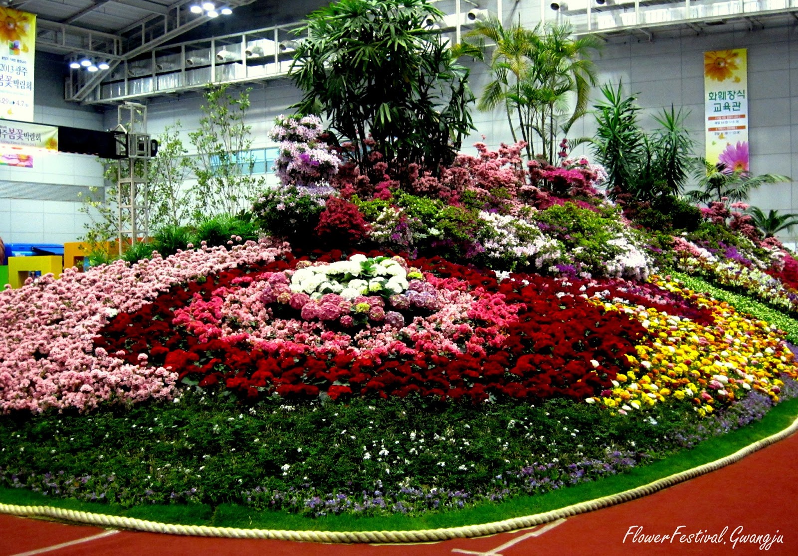 Gwangju Spring Flower Festival - Footprints of Erica