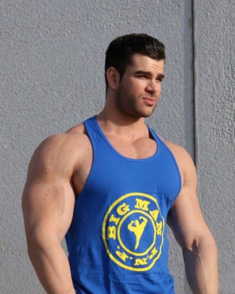 the beauty of male muscle: David