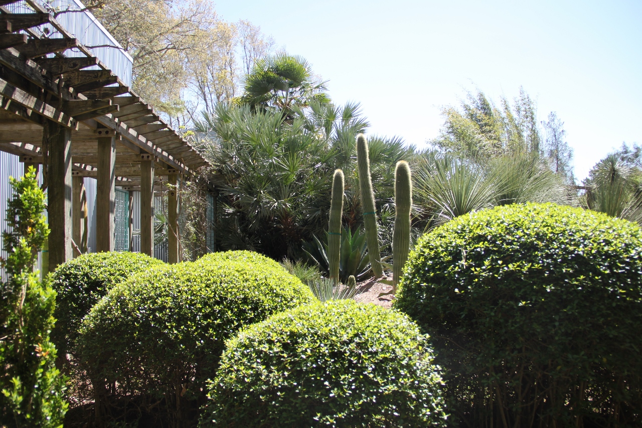 Rock-Oak-Deer: Touring Peckerwood Garden Part Two: Residence and Dry ...