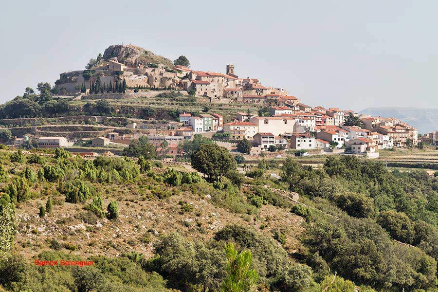 BICHOS Y MAS VLC: DE PASEO POR CULLA (II): EL PUEBLO (I)