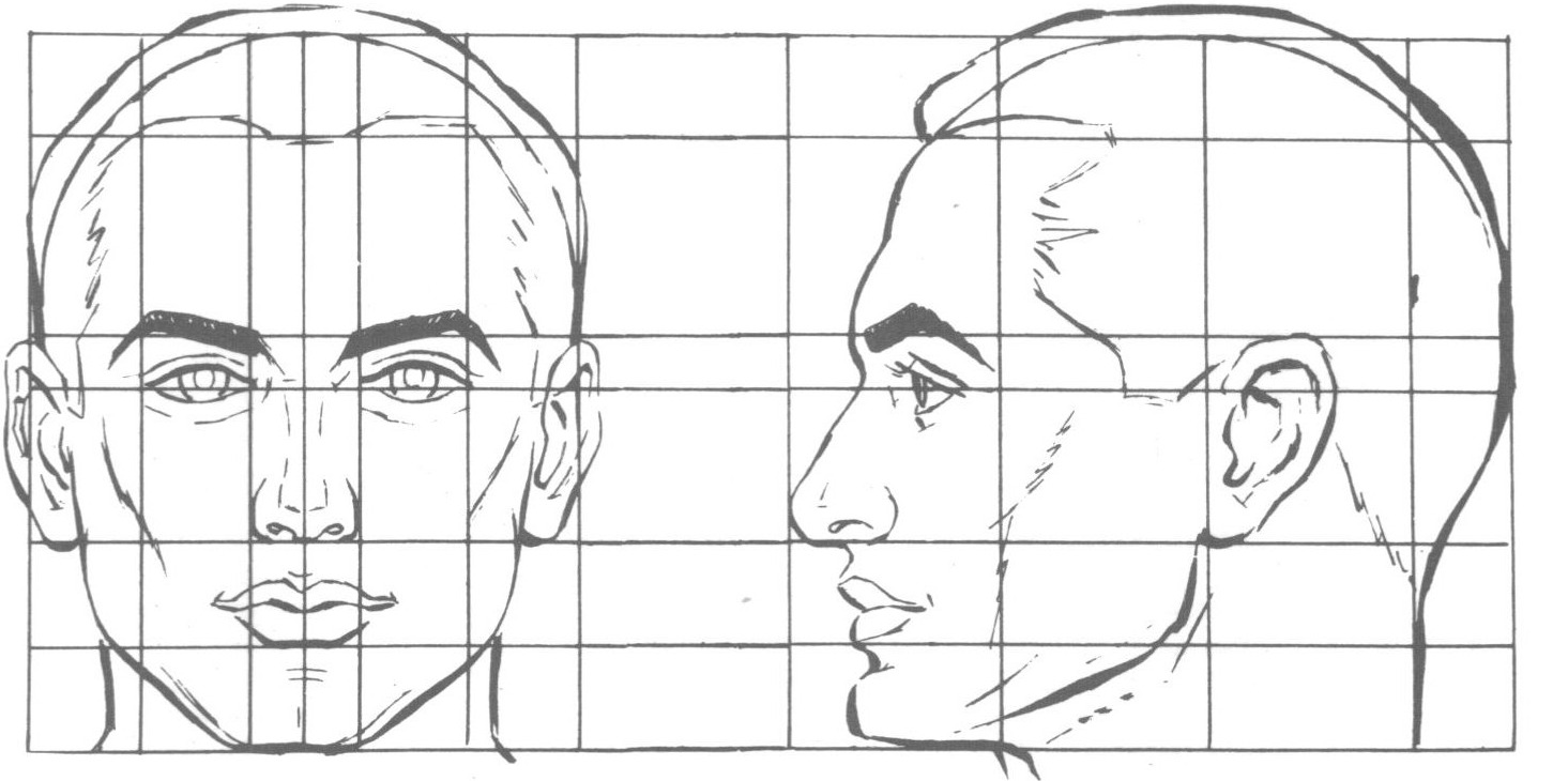 Dibujo: De lo Básico a lo Detallista