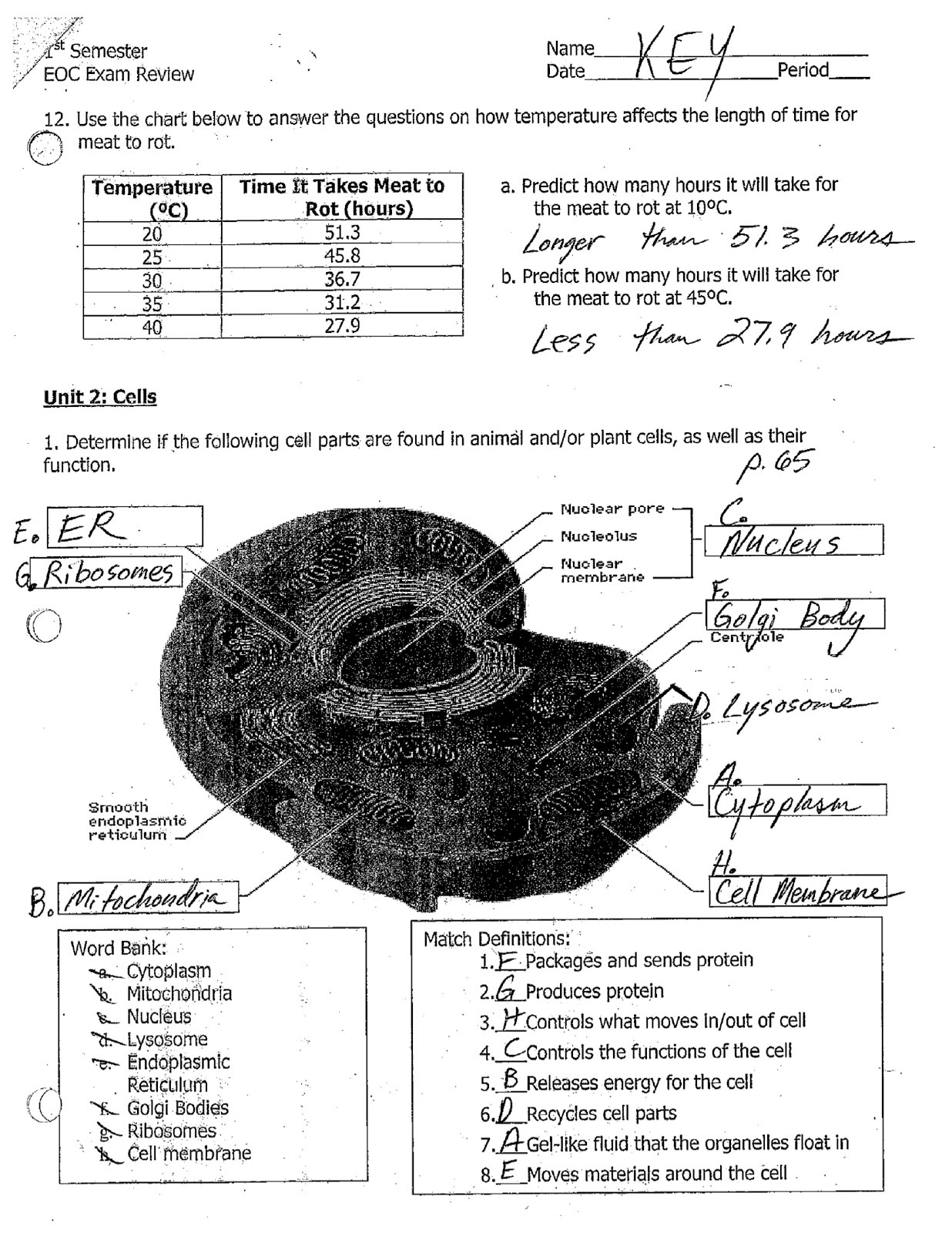 7th Grade Life Science EOC Review Answers Pages 1 3 click On Image 7th-grade-life-science-eoc-review-answers-pages-1-3-click-on-image