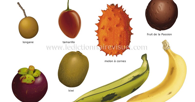 Autour de la gastronomie: Fruits tropicaux : vocabulaire