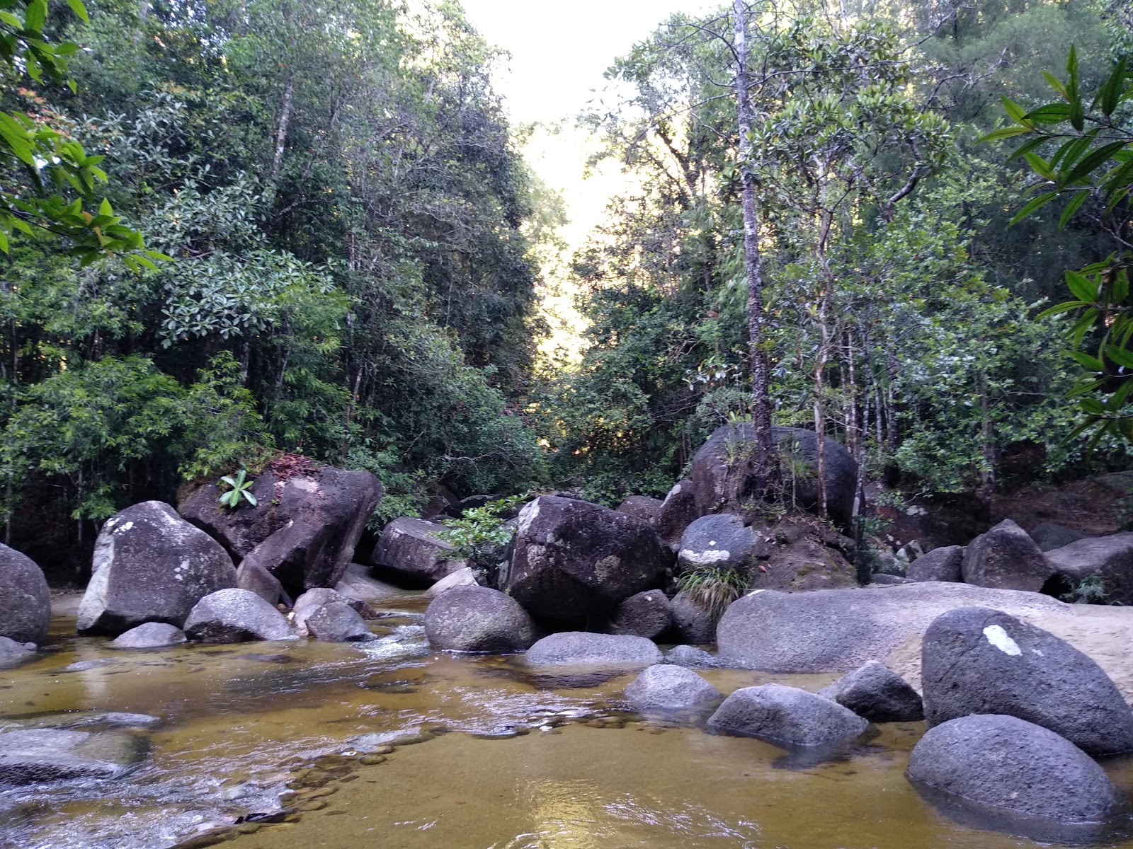 Live, where your heart finds life ツ: Gunung Rajah via Chamang/Bentong ...