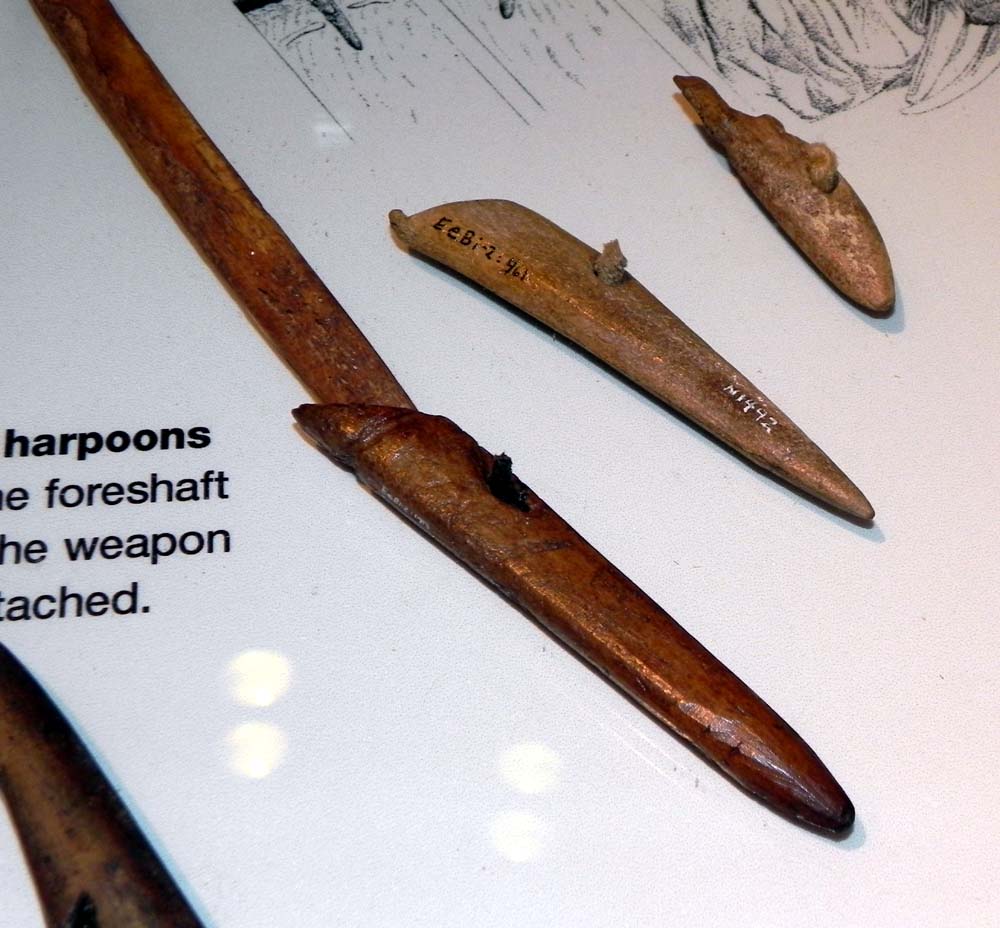Elfshot: Maritime Archaic Spear and Harpoon Head