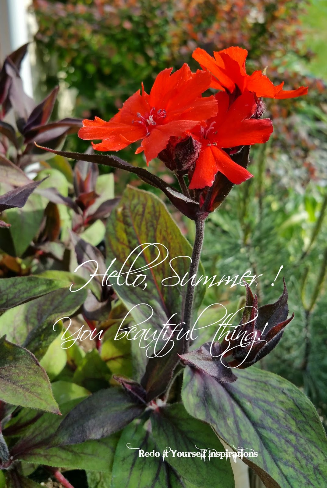 Hello Spring and Summer Living | Redo It Yourself Inspirations : Hello ...