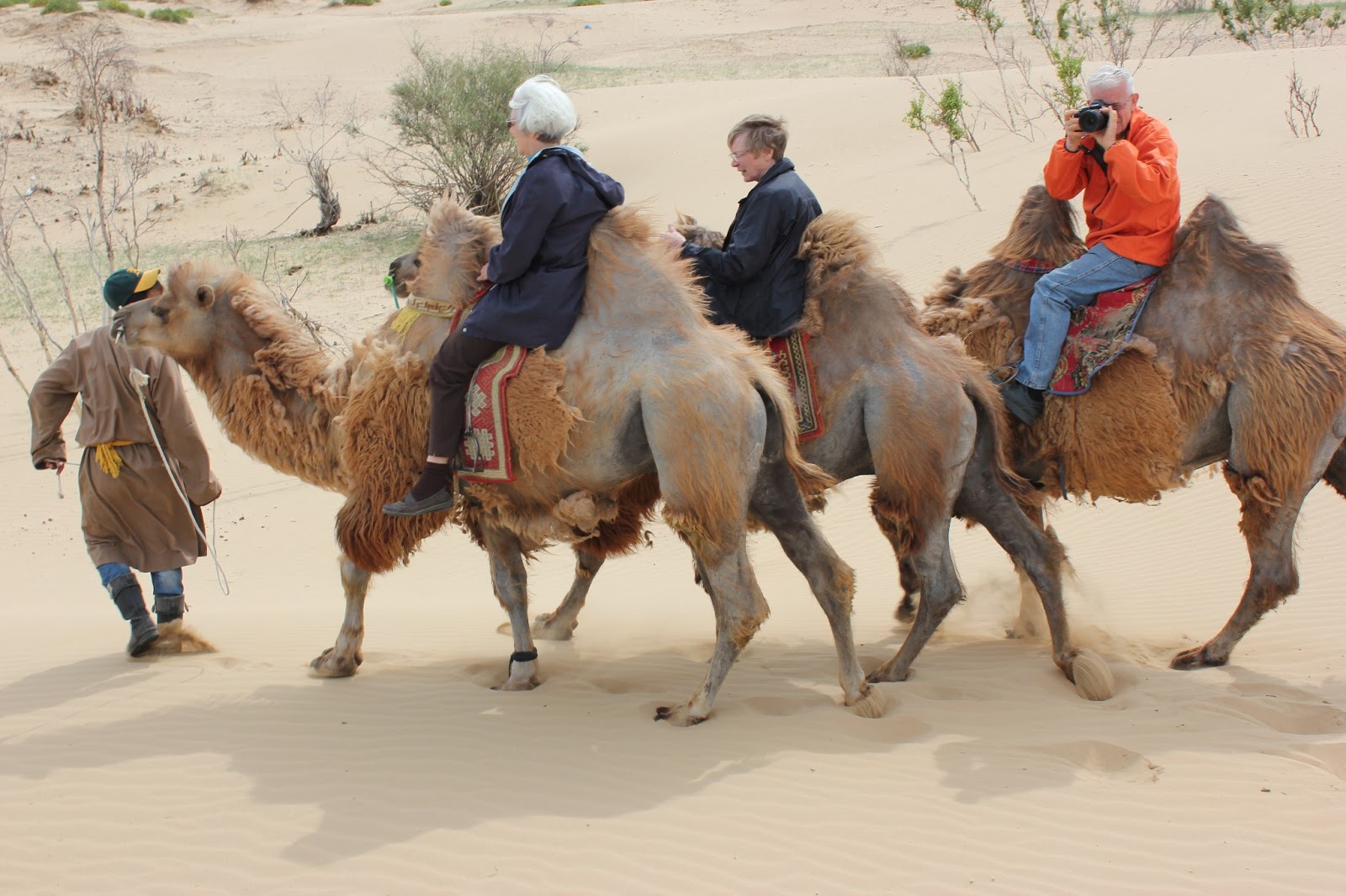 Musings in Mongolia: A camel ride and a walk on the sand dunes