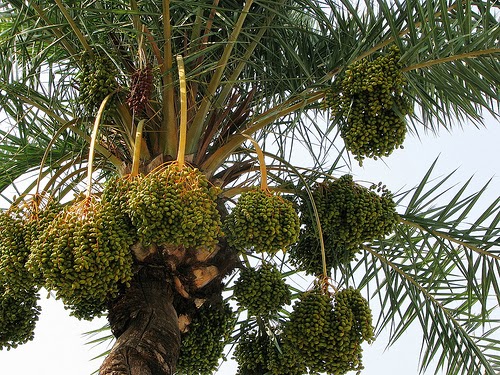 HD Gram Banglar Photo Gallery free download-Hd Gram Bangla - Best ...