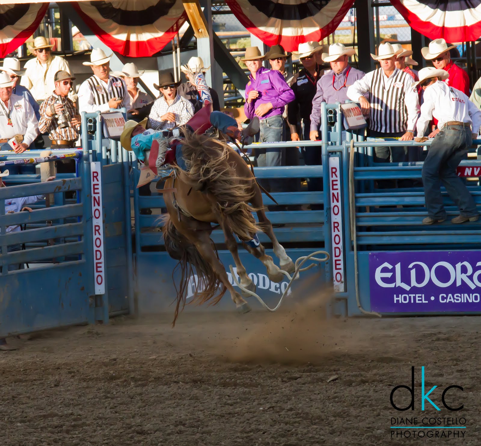 Diane K. Costello Photography: Reno Rodeo 2011