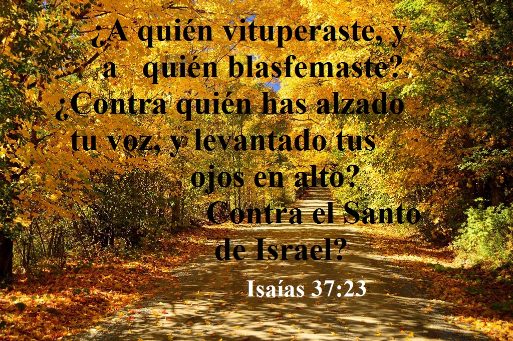 UNA LLAMADA A LA ENTREGA: Un fuerte movimiento de Dios