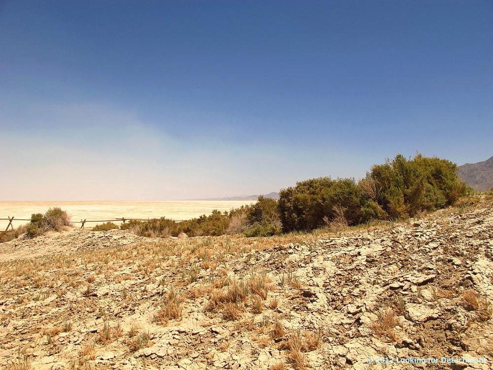 Looking For Detachment: Smoke in the Black Rock & Smoke Creek Deserts