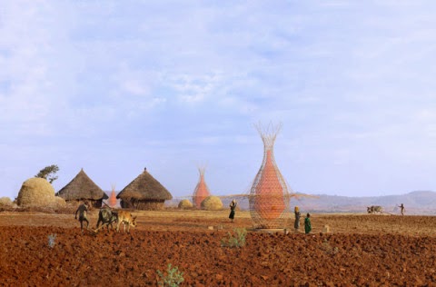 Reforestation and the Medicinal Uses of Trees -Liliana Usvat Research ...