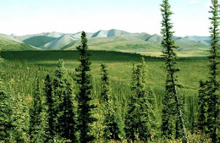 My Taiga Shield Road Trip: Road Trip- Day 4-6