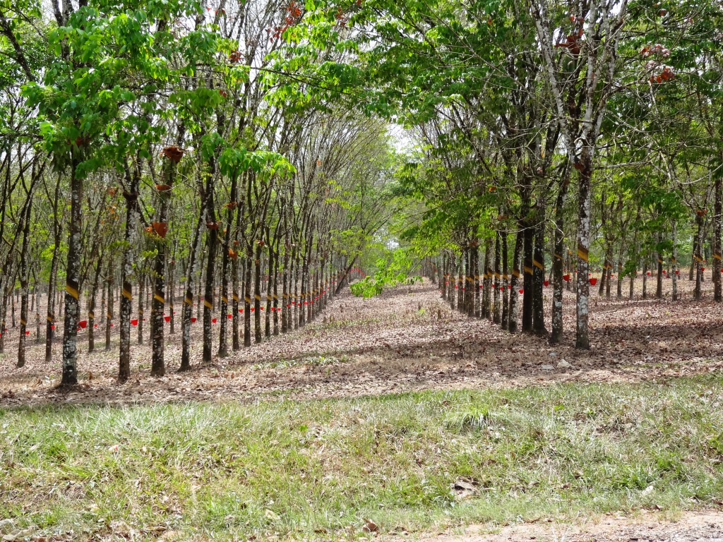 Liberia: "Land of the Free"